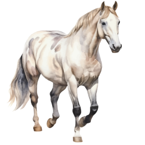 We Read Horse Books – Free Summer Reading Program for Kids